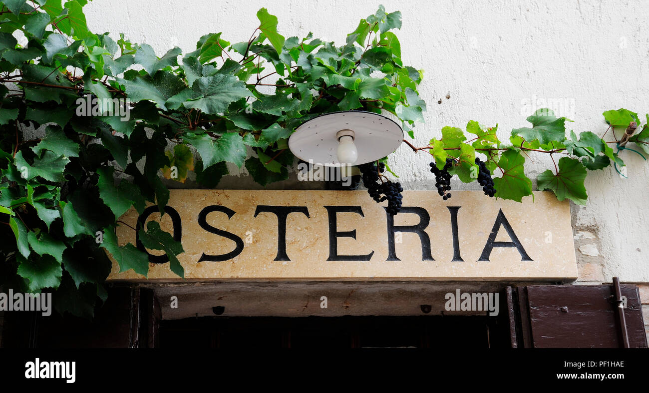 Osteria, Tavern. Typical italian restaurant sign with grapevine plant ...