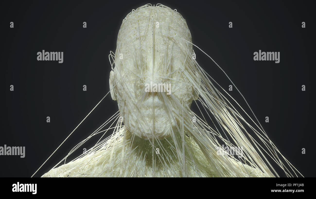 3d render Human figure made with lines Stock Photo - Alamy