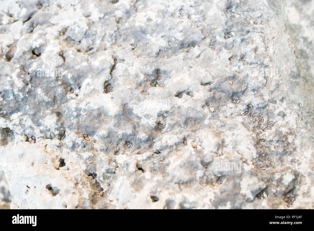 Close up of a stone texture background Stock Photo - Alamy