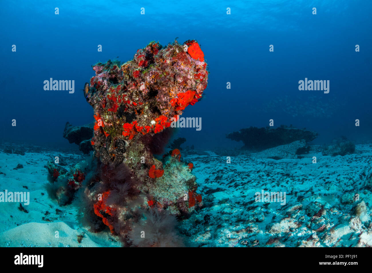 Islands ocean hi-res stock photography and images - Alamy