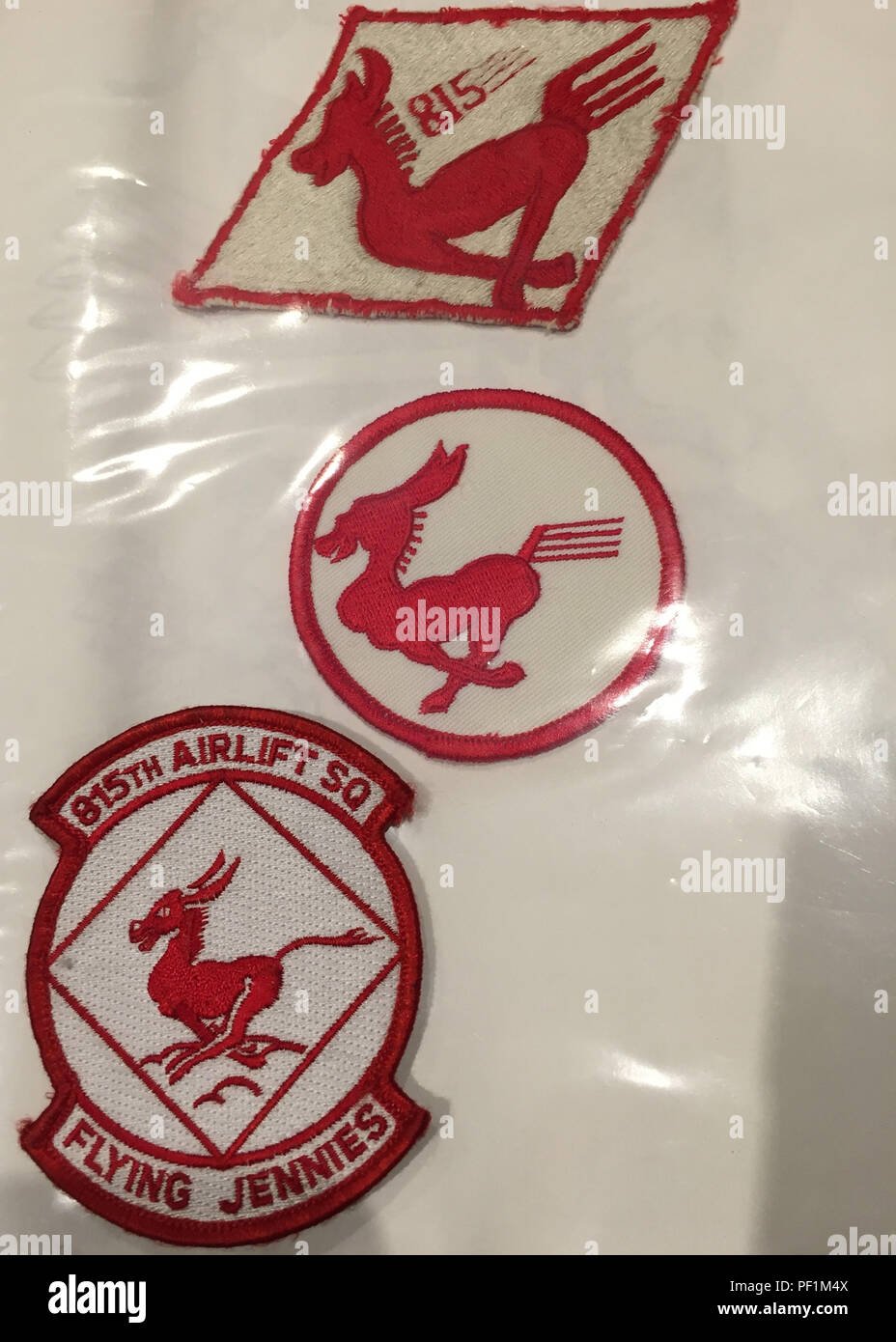 Pack mule squadron hi-res stock photography and images - Alamy