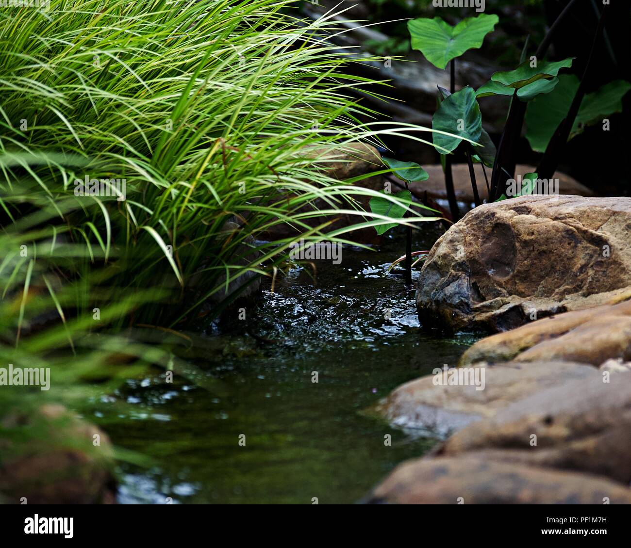Water Stream Still Shot Stock Photo - Alamy