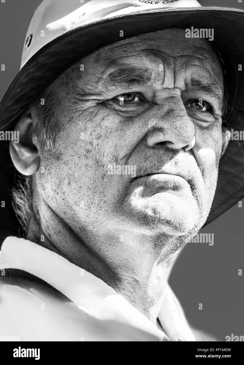 Bill Murray Black And White Wallpaper