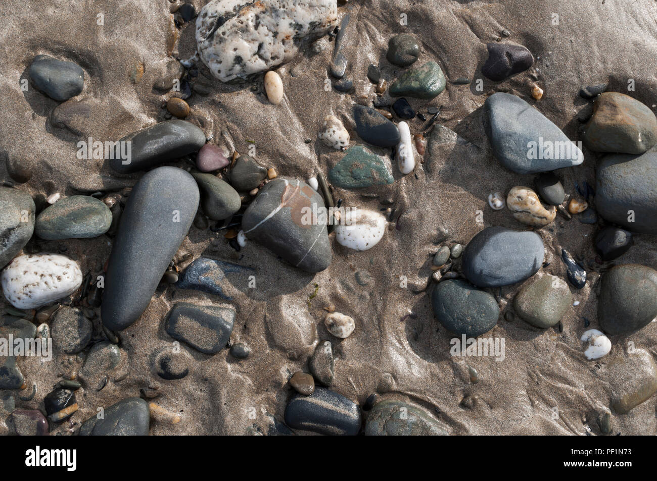 rocks in wet sand Stock Photo - Alamy