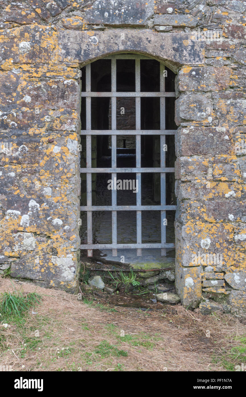 Iron gates with flowers hi-res stock photography and images - Alamy