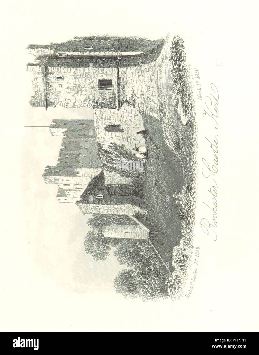 Saxon dynasty hi-res stock photography and images - Alamy