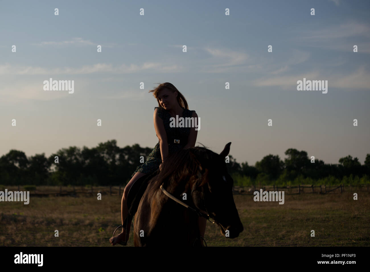 Young beautiful girl with a horse on nature Stock Photo - Alamy