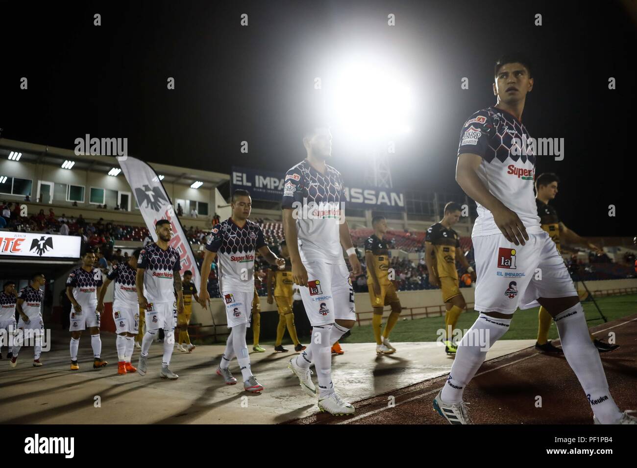 Cimarrones de Sonora Stock Photo - Alamy