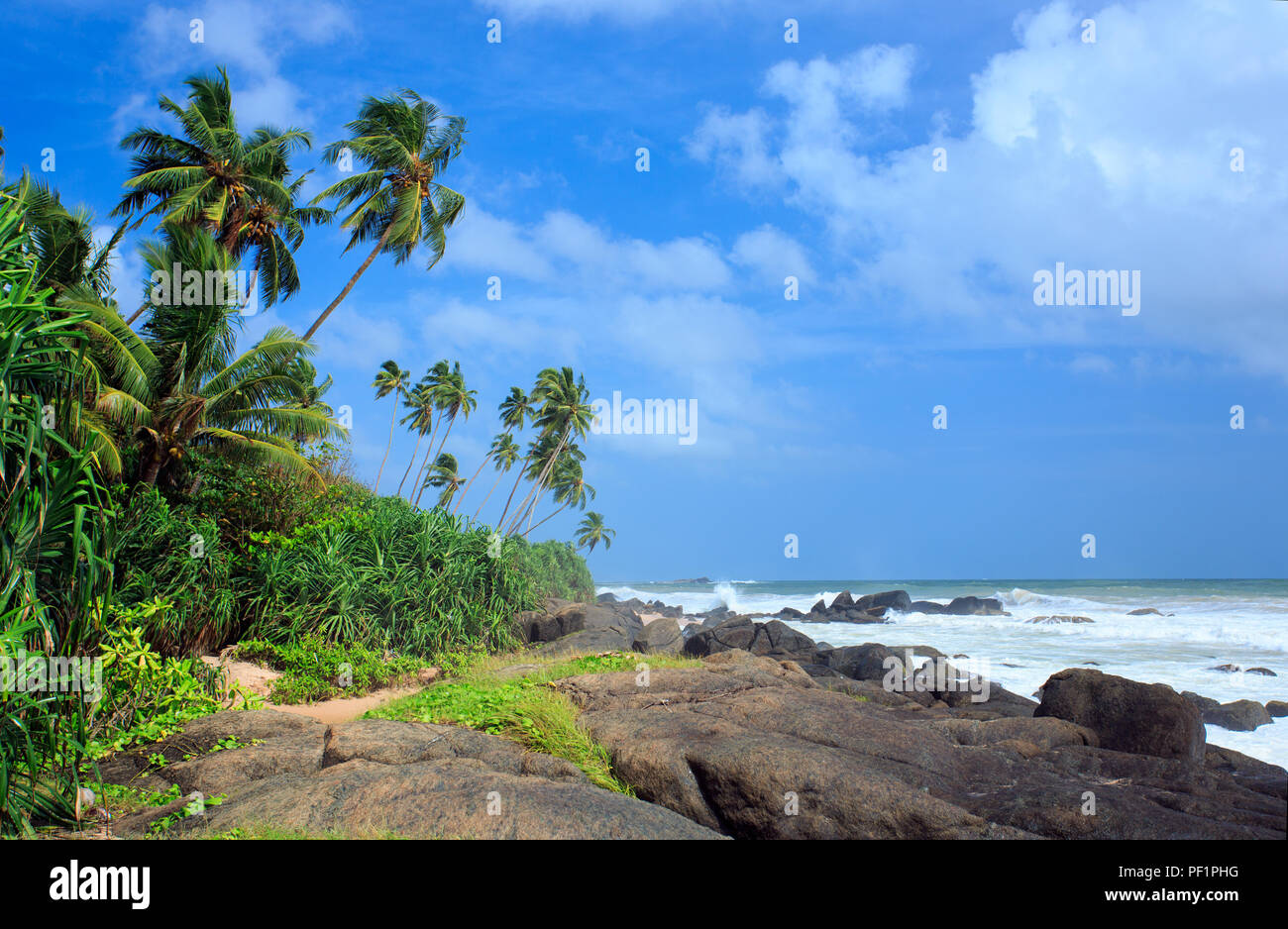 Untouched tropical beach Stock Photo - Alamy
