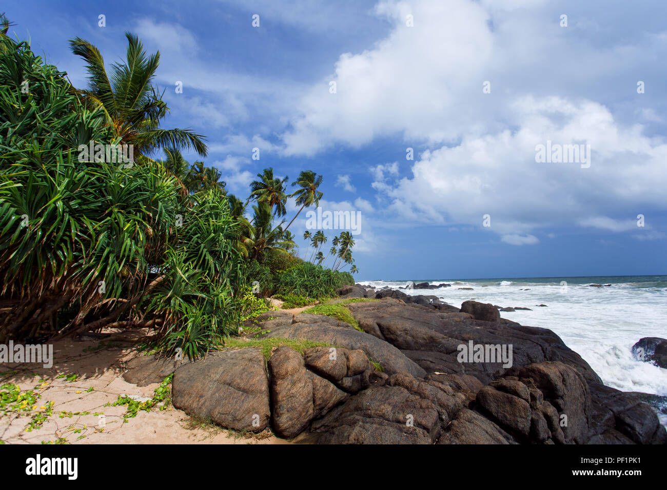 Untouched tropical beach Stock Photo - Alamy