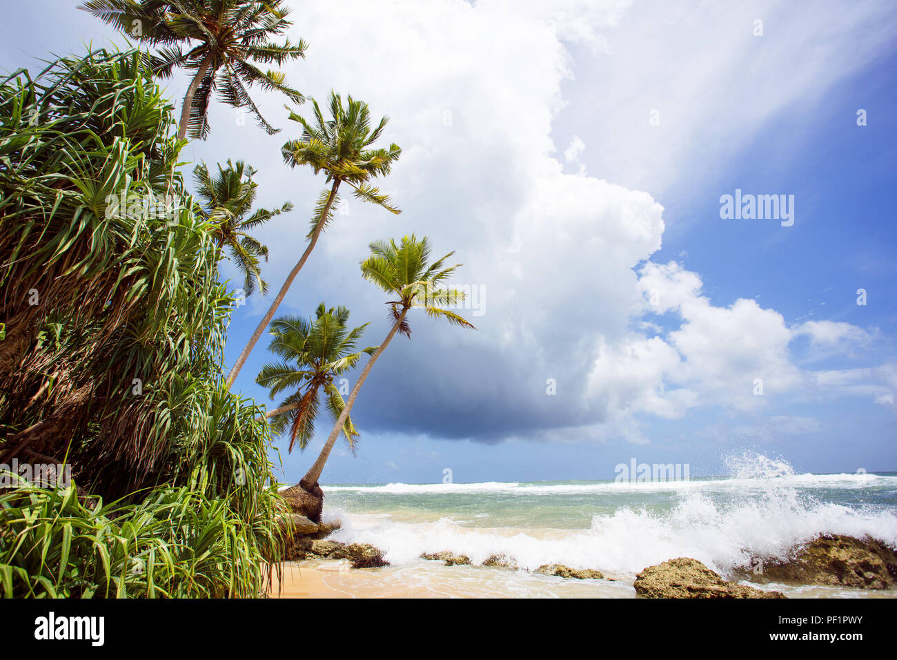 Untouched tropical beach Stock Photo - Alamy