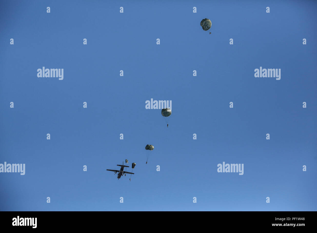 Marines with 2nd Reconnaissance Battalion conduct static-line jump ...