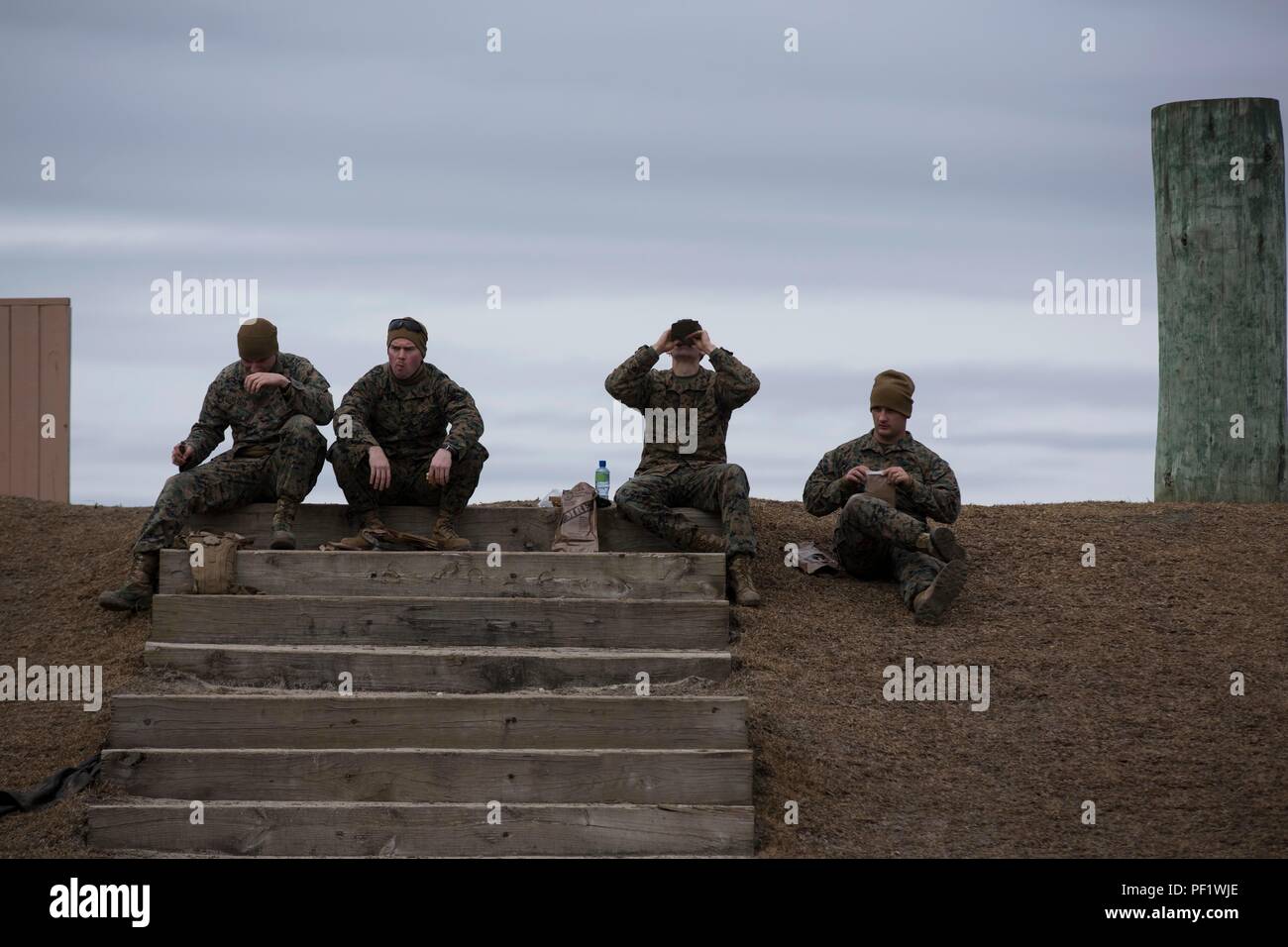 U.S. Marines assigned to 2d Low Altitude Air Defense Battalion (2D LAAD ...