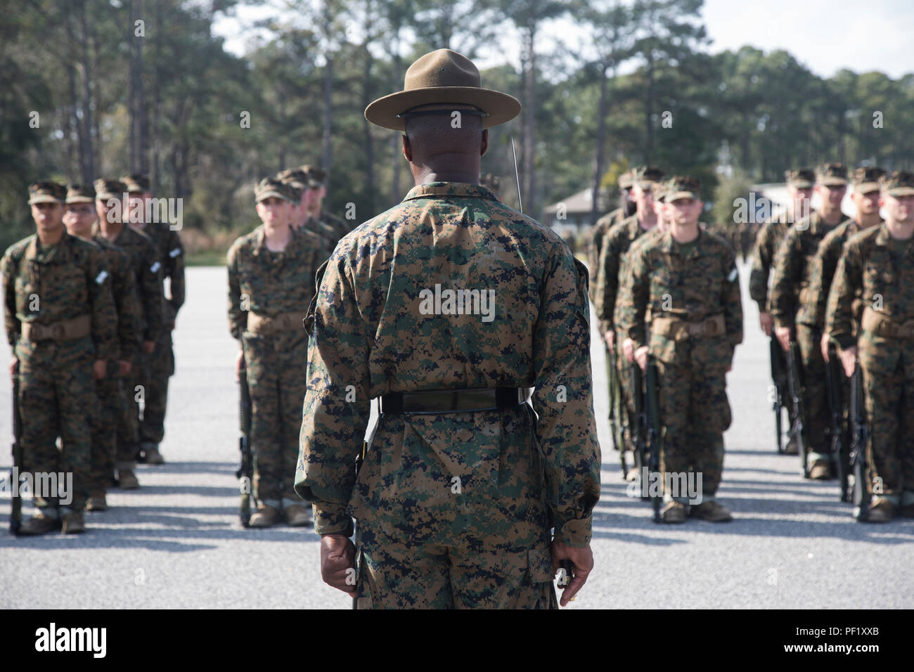 U.S. Marine Corps Sgt. Darryl Veal, drill instructor, Platoon 3034 ...