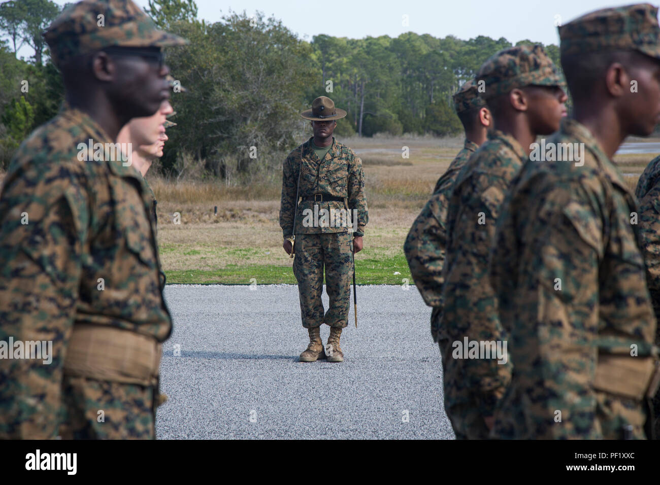 U.S. Marine Corps Sgt. Darryl Veal, drill instructor, Platoon 3034 ...