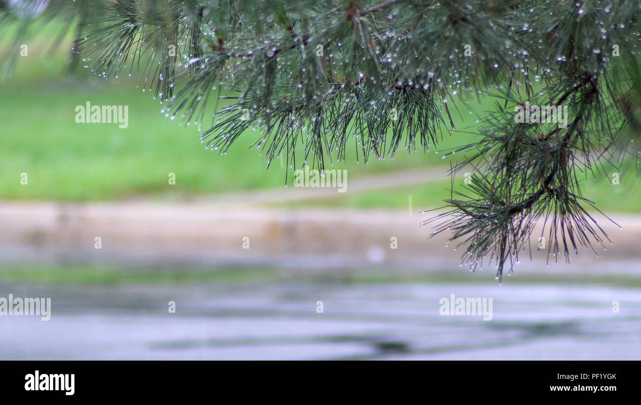 Forming streams hi-res stock photography and images - Alamy