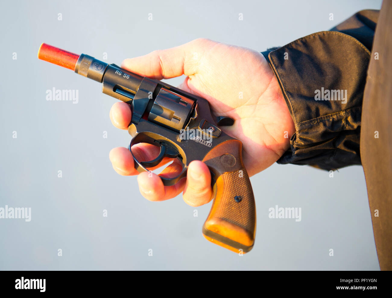 Bird banger hi-res stock photography and images - Alamy