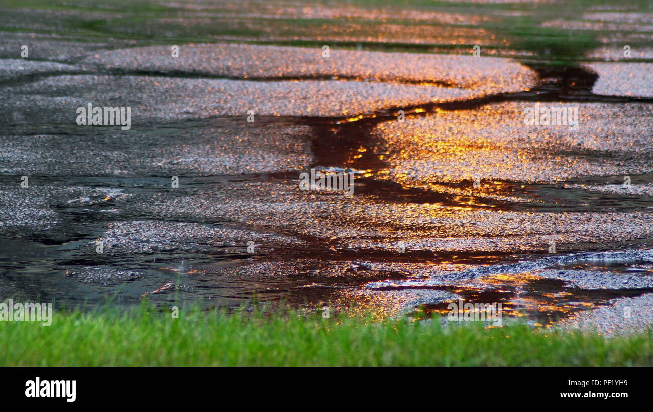 Puddle of water in rain drops fall into puddles selective focus Stock ...