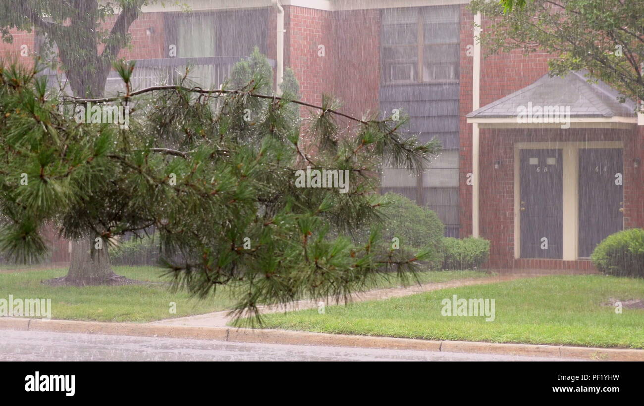 Heavy thunderstorm with hard rain wind bending trees in residential ...