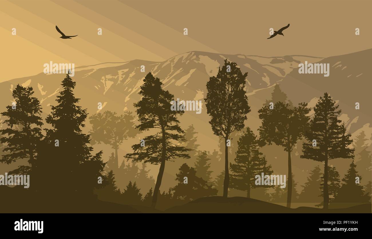 Pine forest landscape background, vector illustration Stock Vector ...