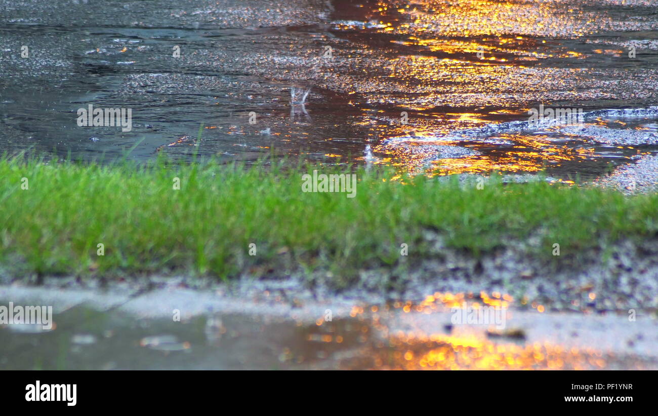 Raindrops on the asphalt closeup shot of heavy rain on road Stock Photo ...