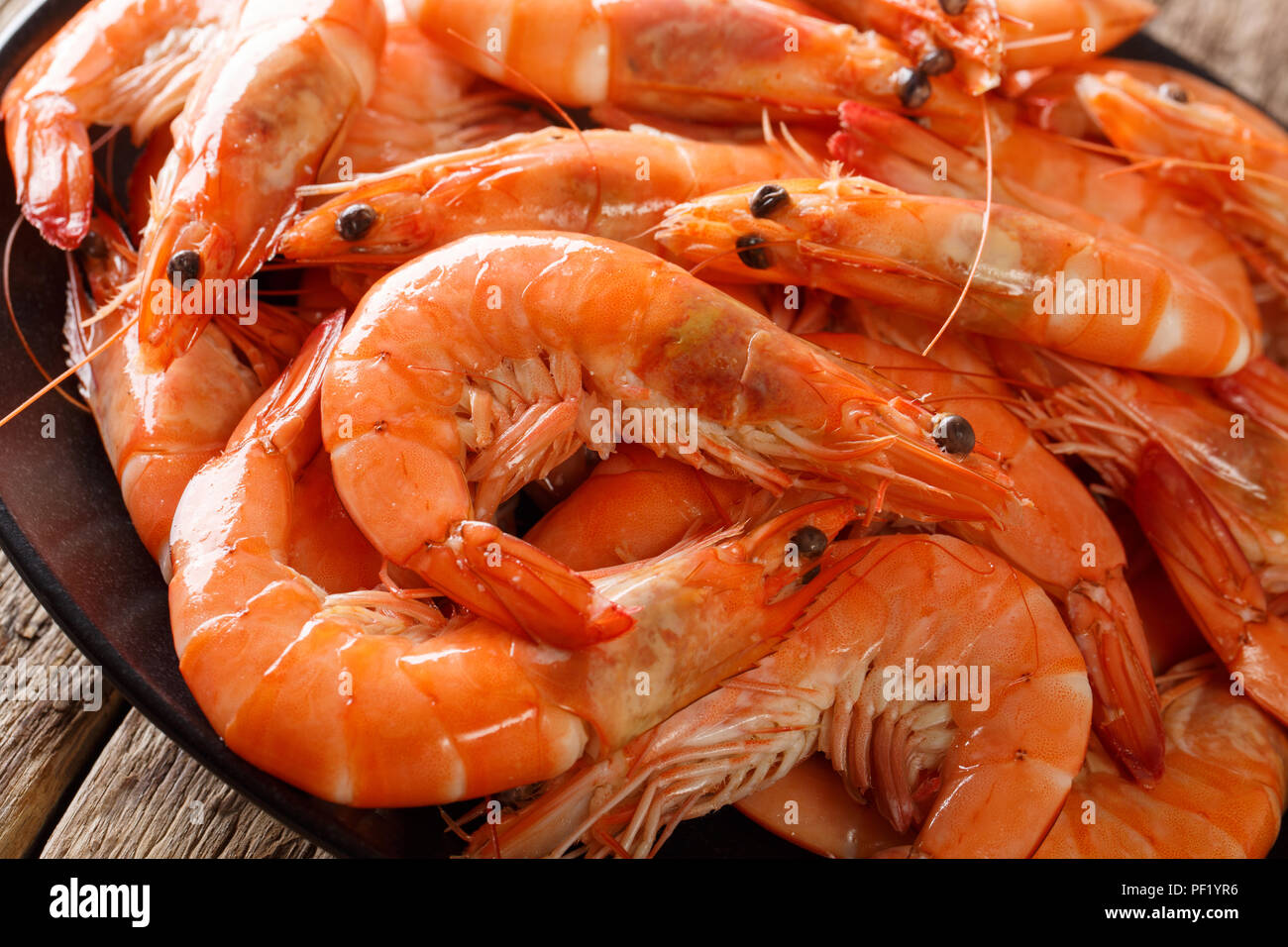 Beautiful boiled large shrimp close-up on a plate. Food background ...