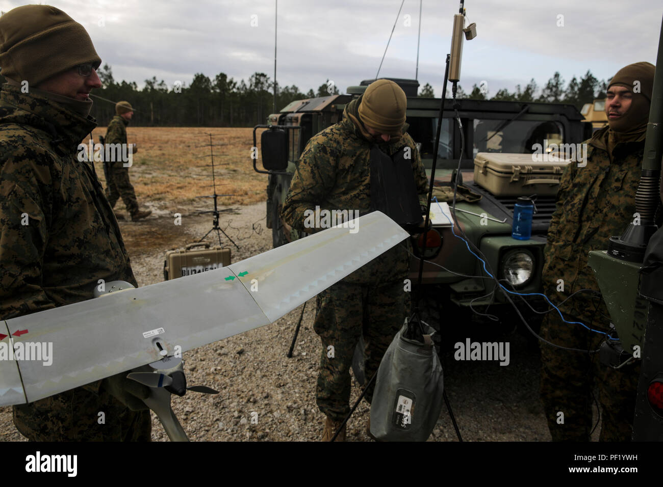Lz partridge hi-res stock photography and images - Alamy