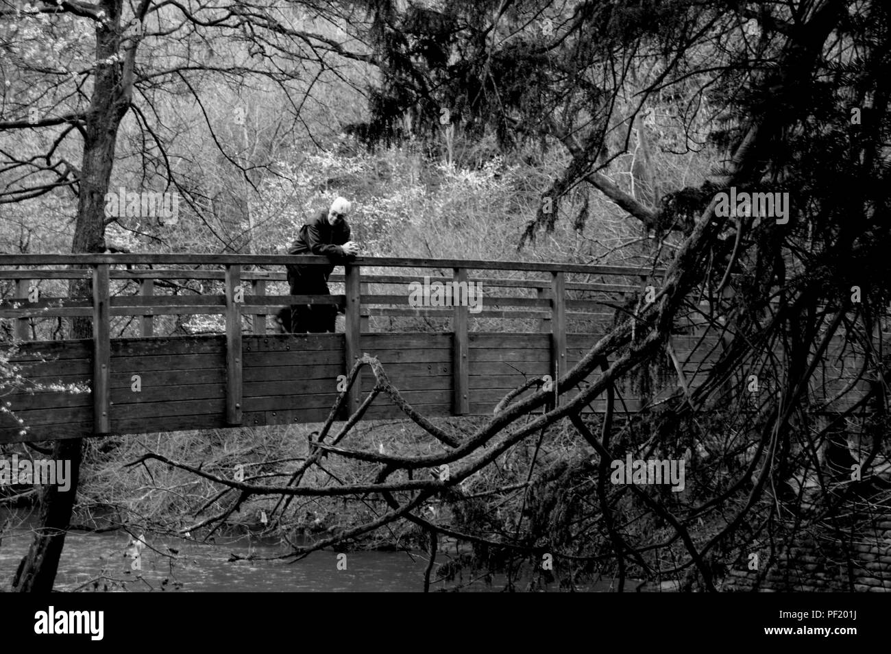 Man and dog black and white hi-res stock photography and images - Alamy