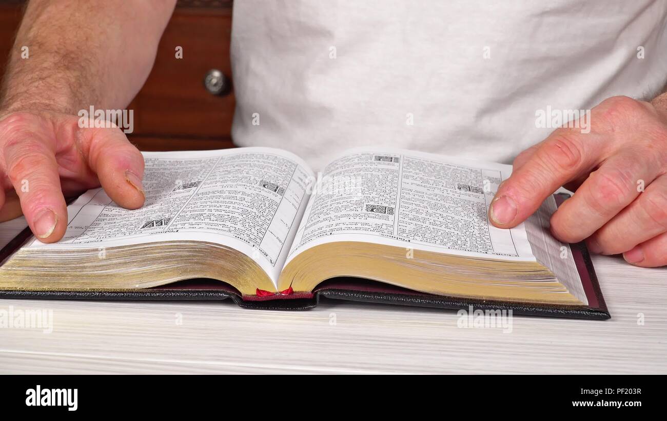 Man reading from the holy bible, close up Sunday readings, Bible Stock ...