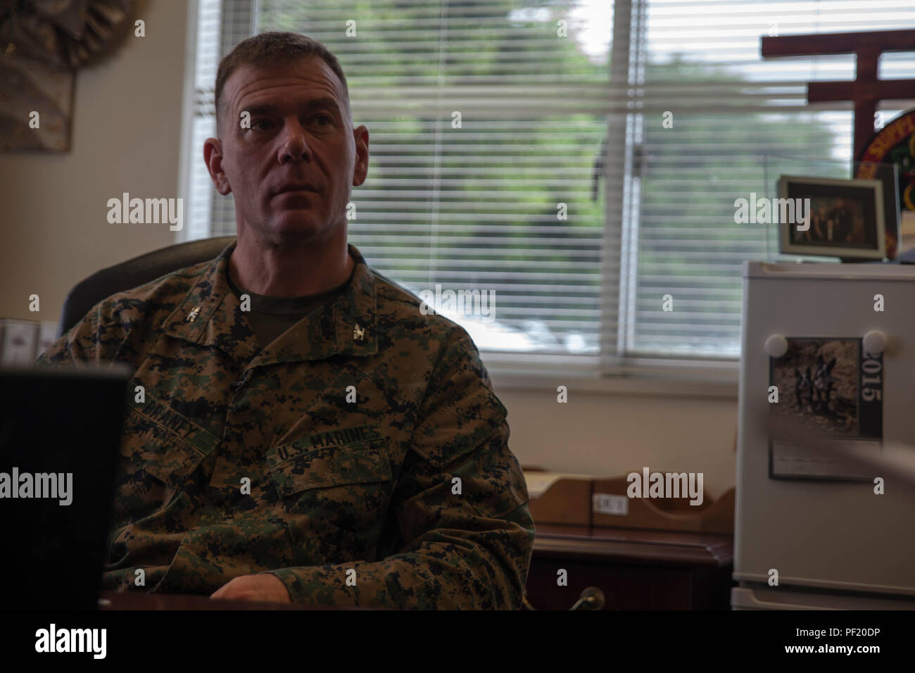 Chris braney hi-res stock photography and images - Alamy