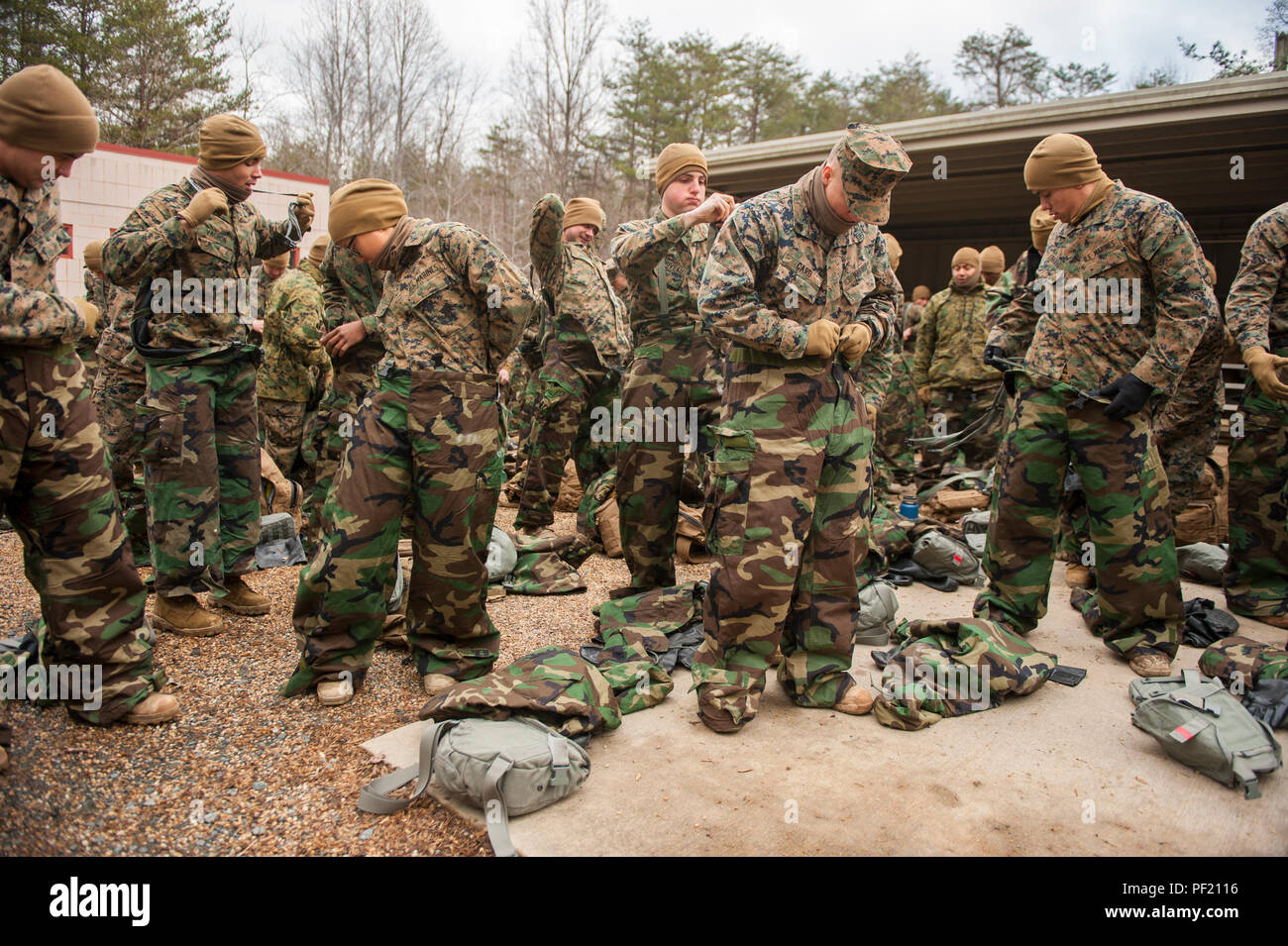 U.S. Marine Corps students with Marine Corps Embassy Security Group put ...