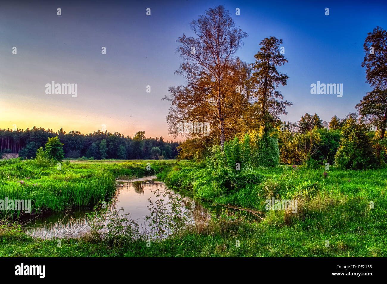 Summer landscape over a wild river Stock Photo - Alamy