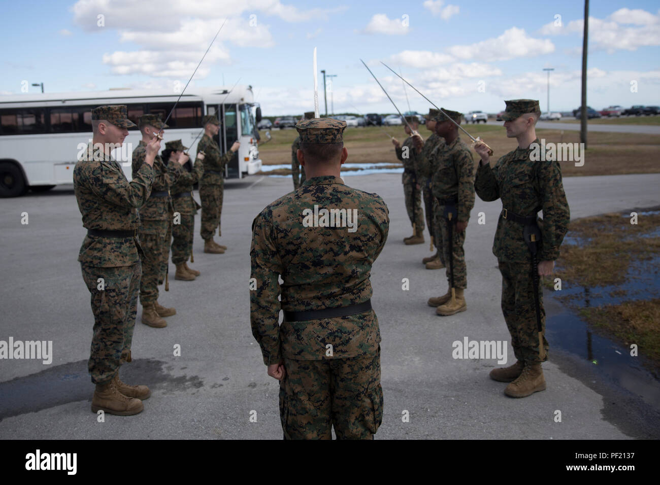 Practical management for officer education and operational readiness hi ...