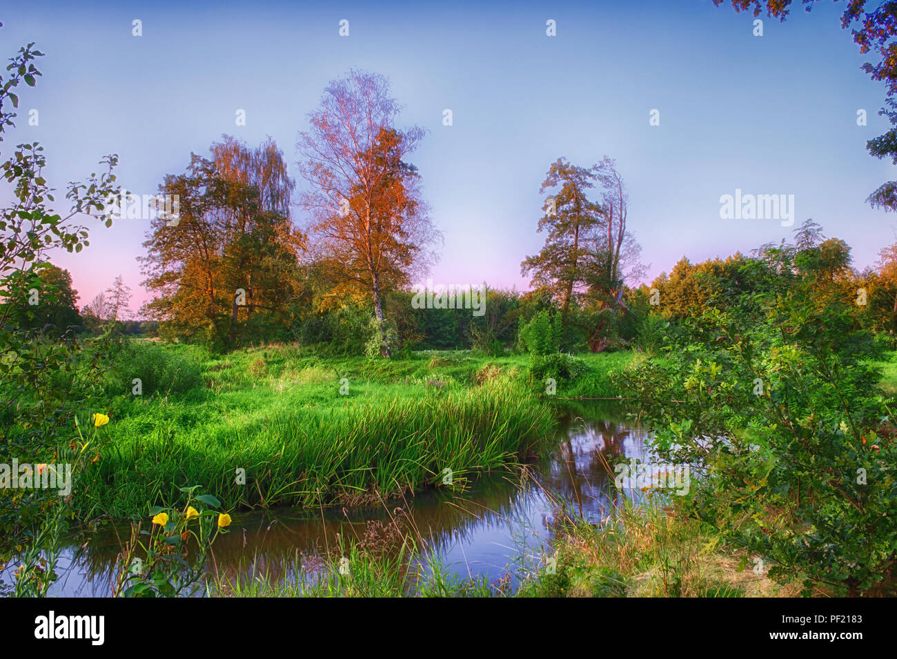 Summer landscape over a wild river Stock Photo - Alamy