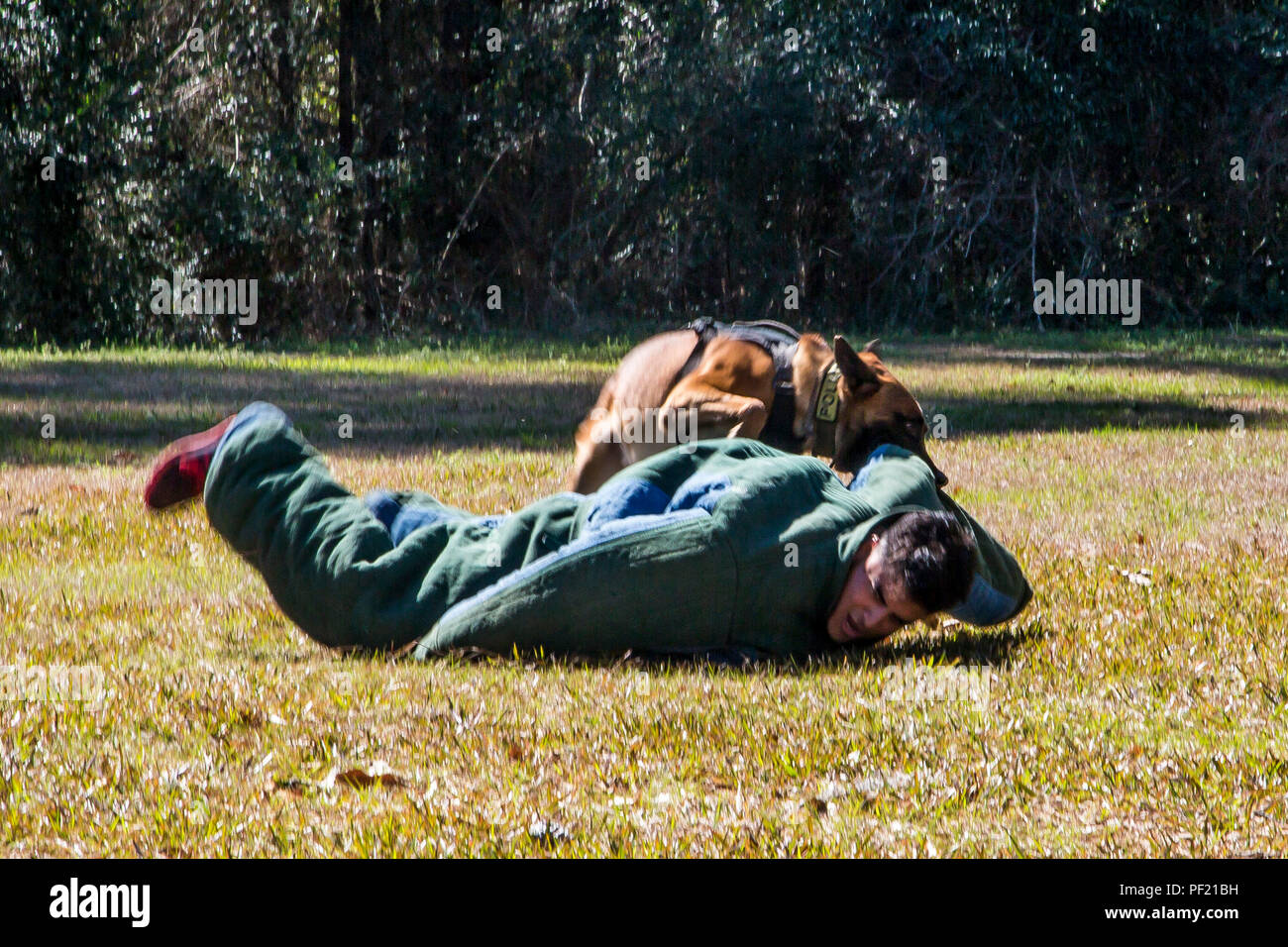 Sgt maj kecia jordan hi-res stock photography and images - Alamy