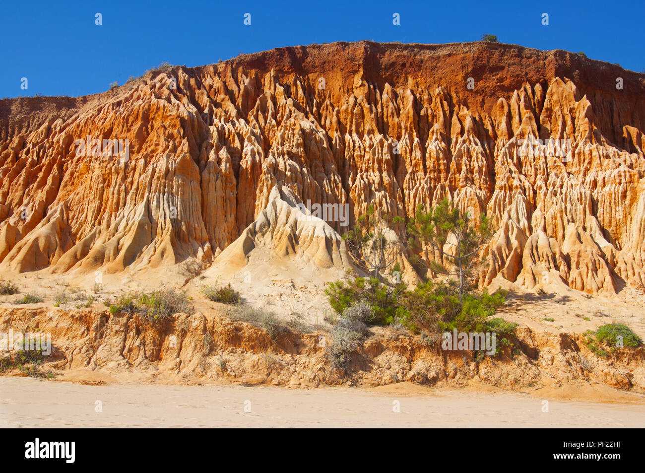 Canyon by the sea hi-res stock photography and images - Alamy