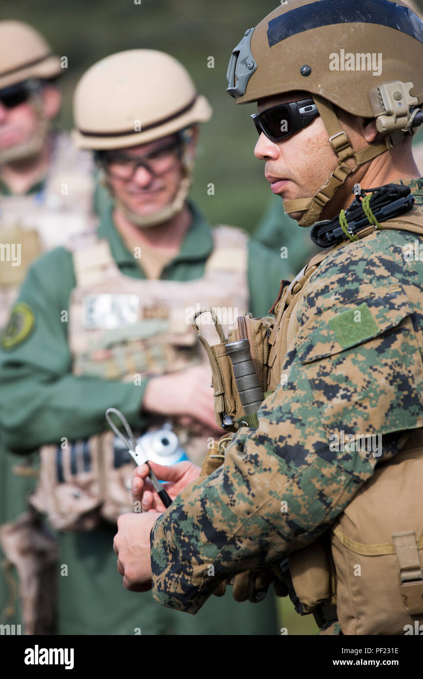 A U.S. Marine Corps Explosive Ordnance Disposal Technician with Special ...