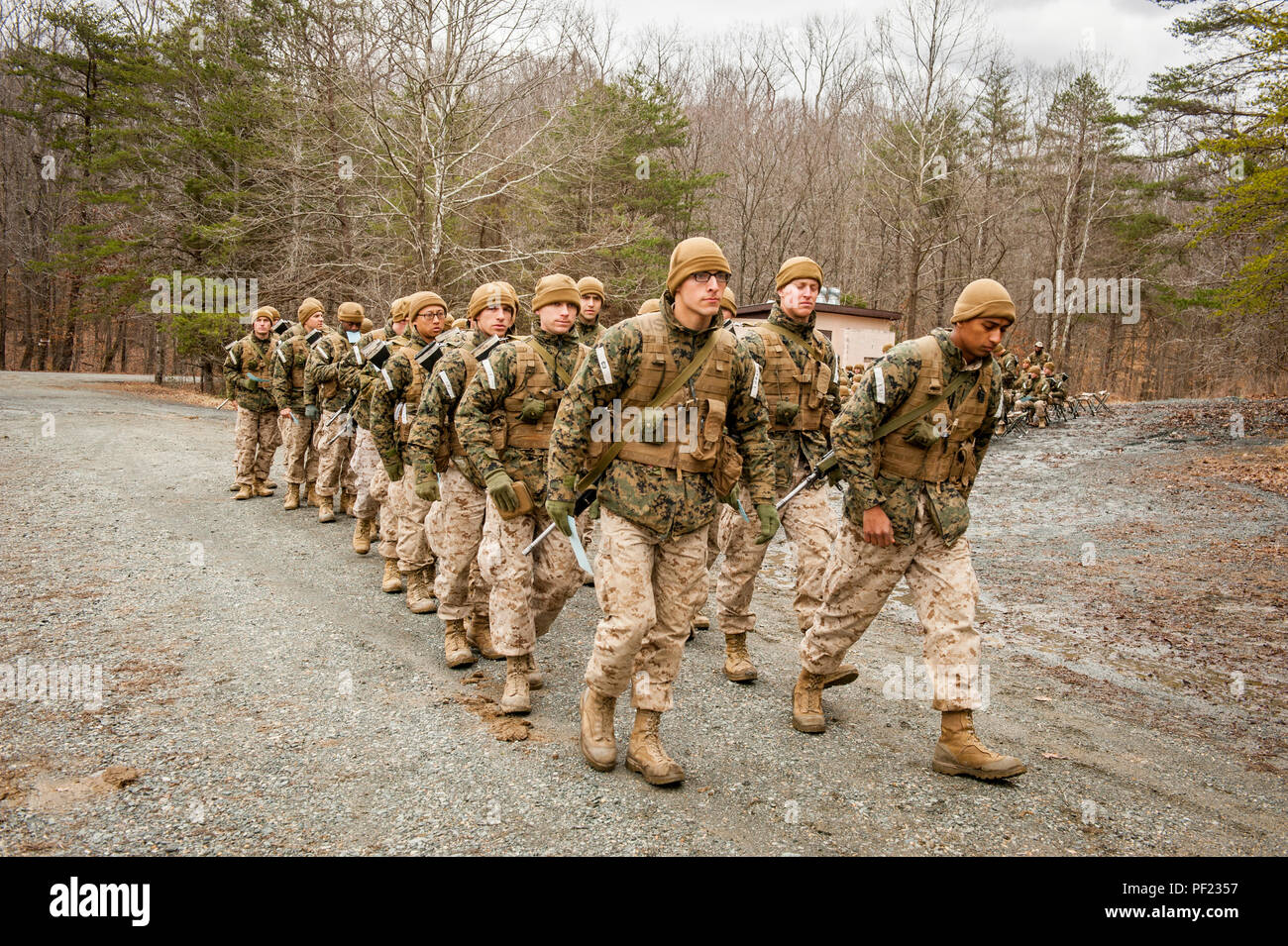 Class specific features hi-res stock photography and images - Alamy