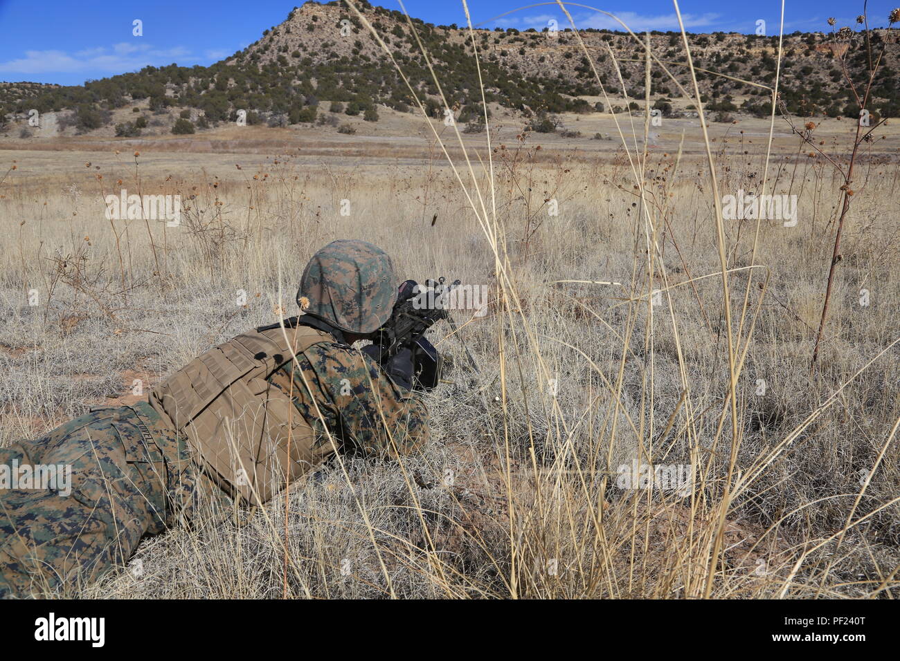 Low altitude air defence gunner hi-res stock photography and images - Alamy