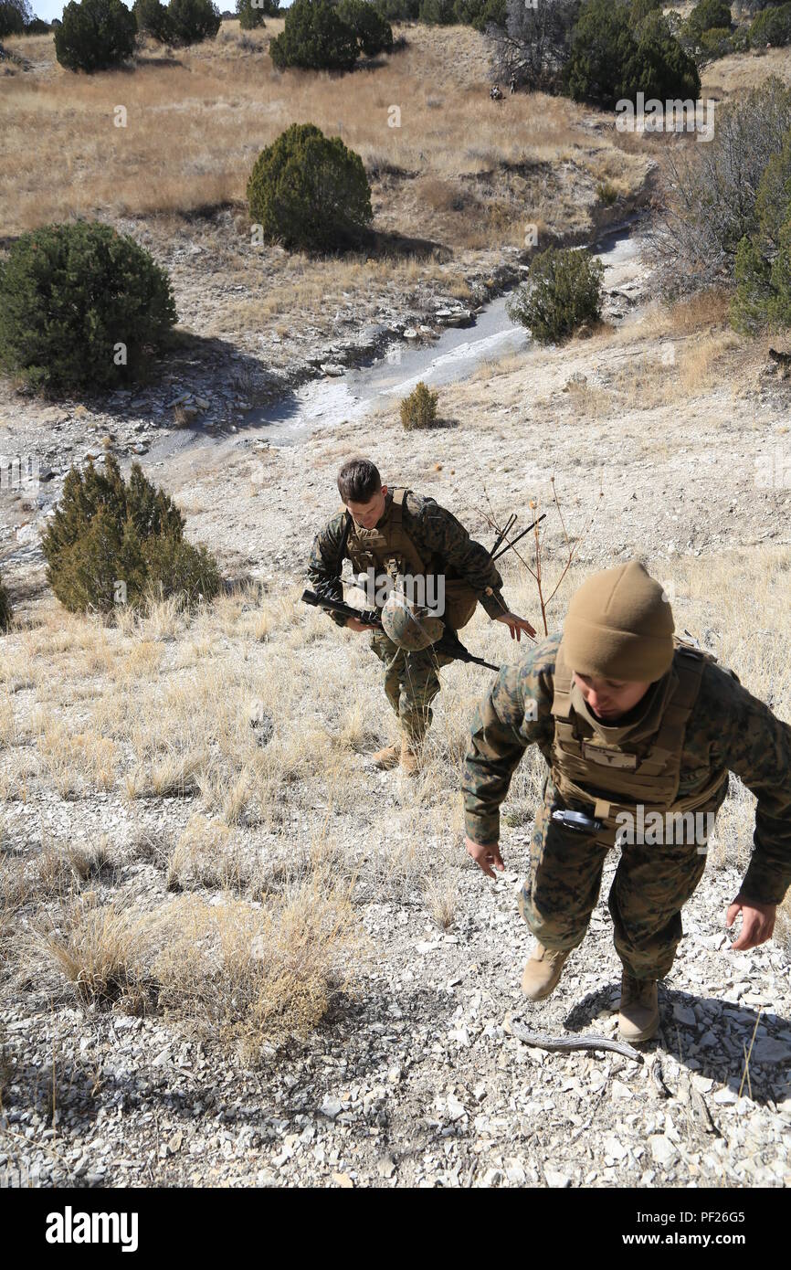 3d laad hi-res stock photography and images - Alamy