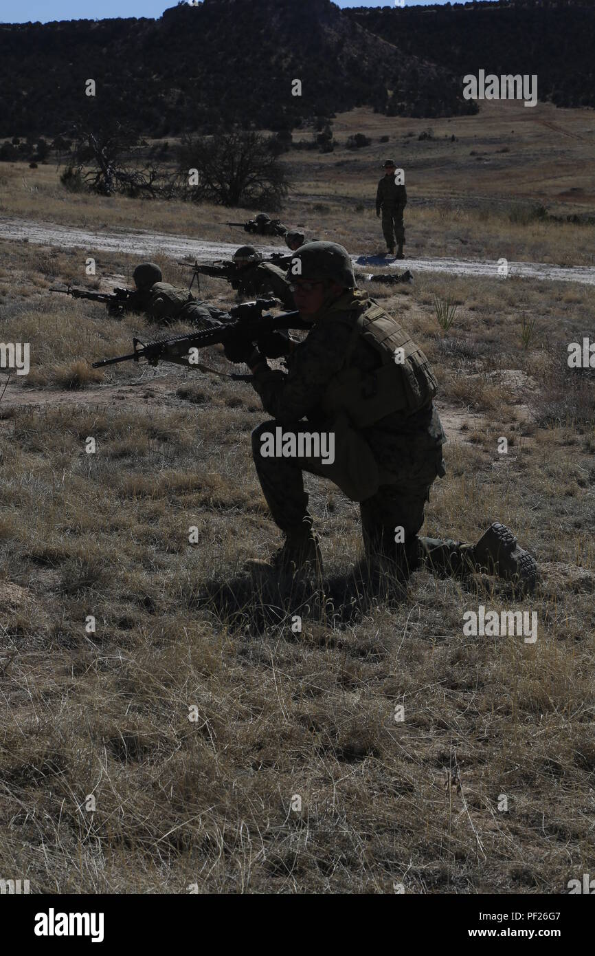 U.S. Marines with 3D Low Altitude Air Defense Battalion(3d LAAD Bn ...