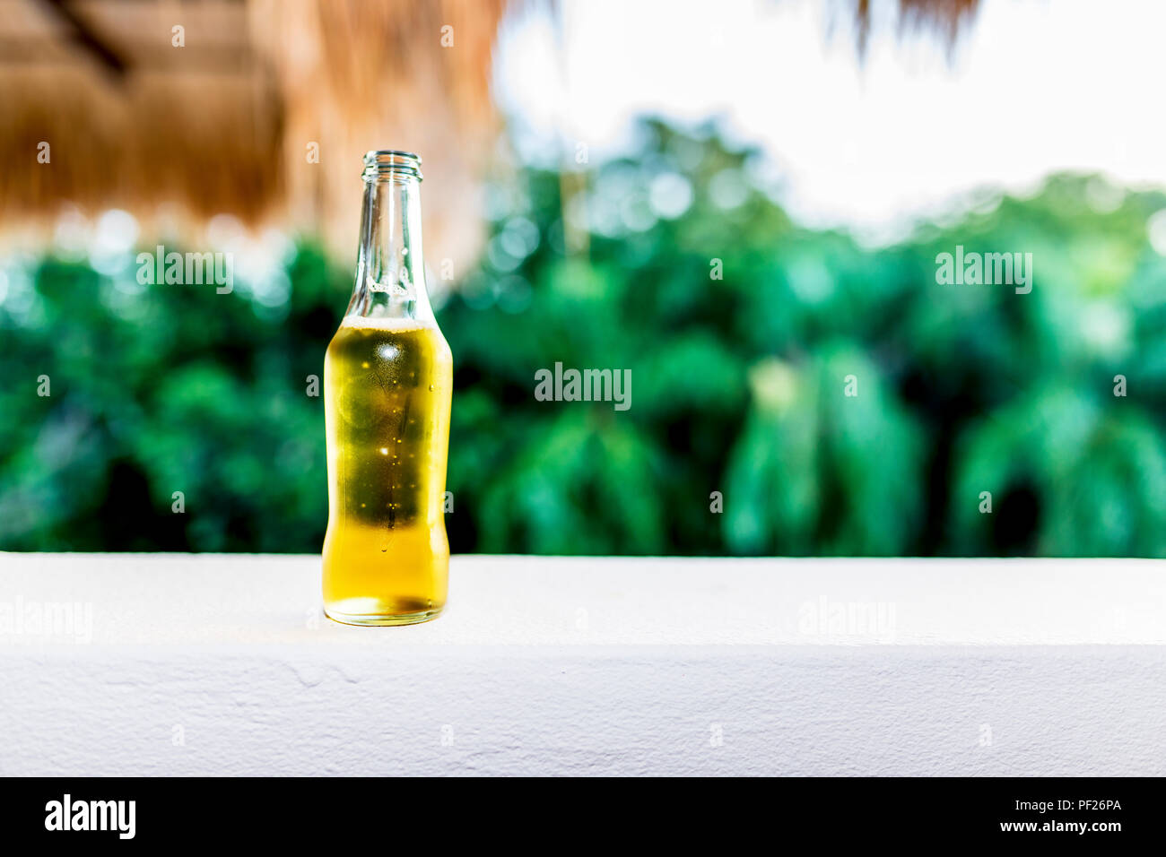 Cool refreshing bottle of lager or beer on a luxury tropical, caribbean ...