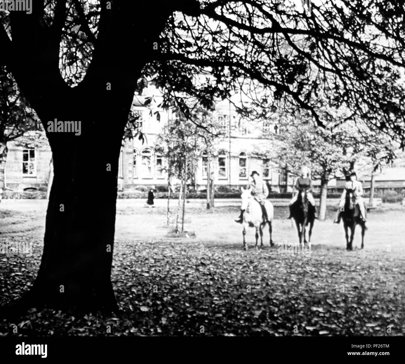The Stray, Harrogate in the 1940s Stock Photo - Alamy