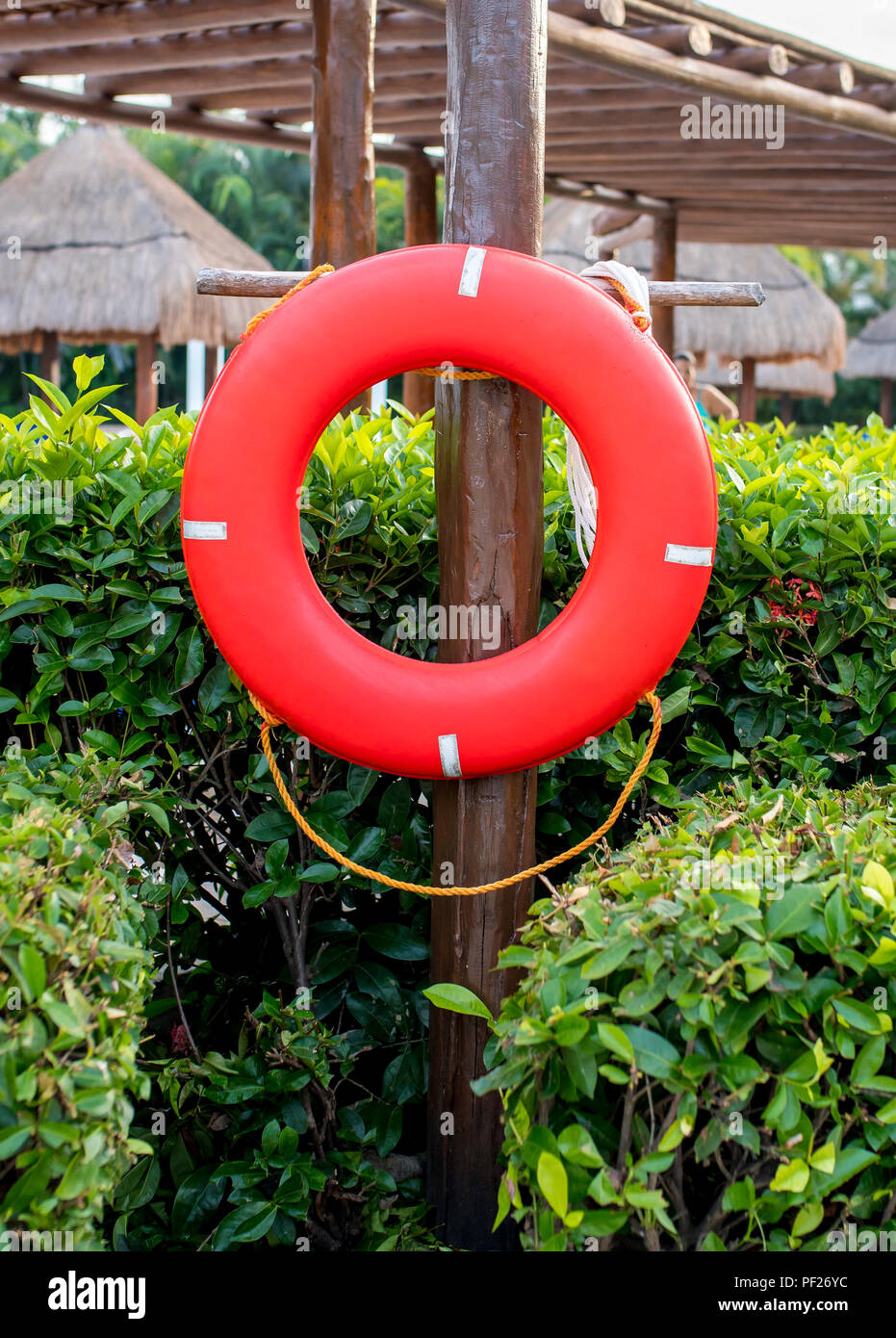 Red Life ring hung in a luxury hotel in Mexico against lush green hedge ...