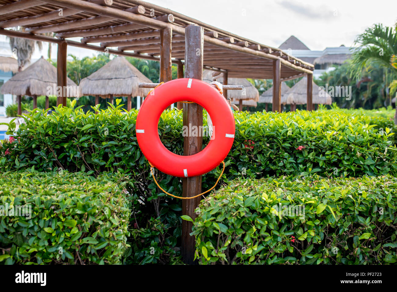 Red Life ring hung in a luxury hotel in Mexico against lush green hedge ...