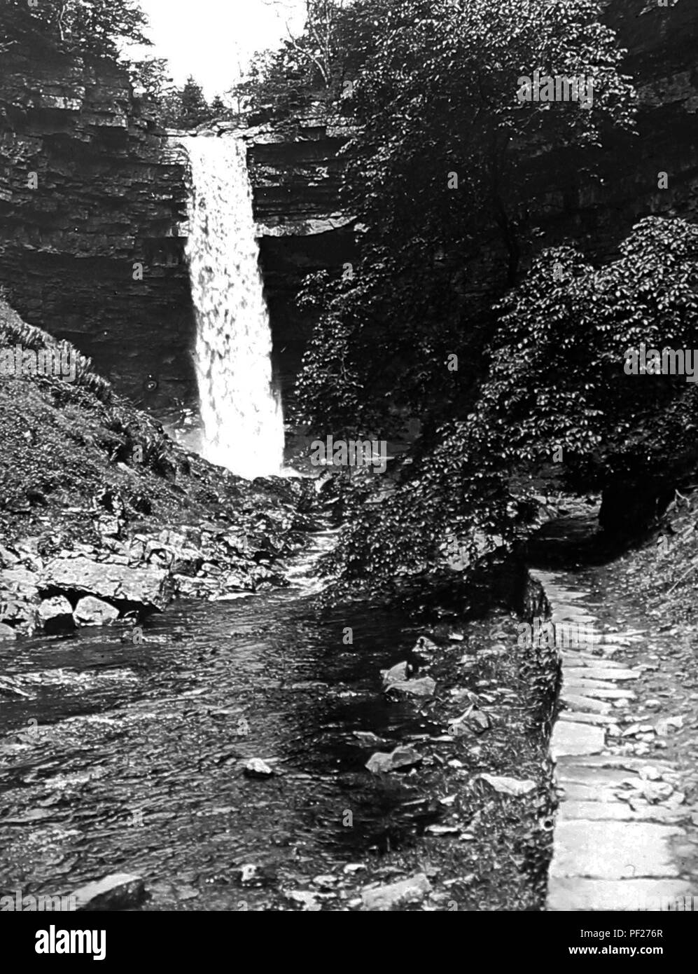 English force hi-res stock photography and images - Alamy