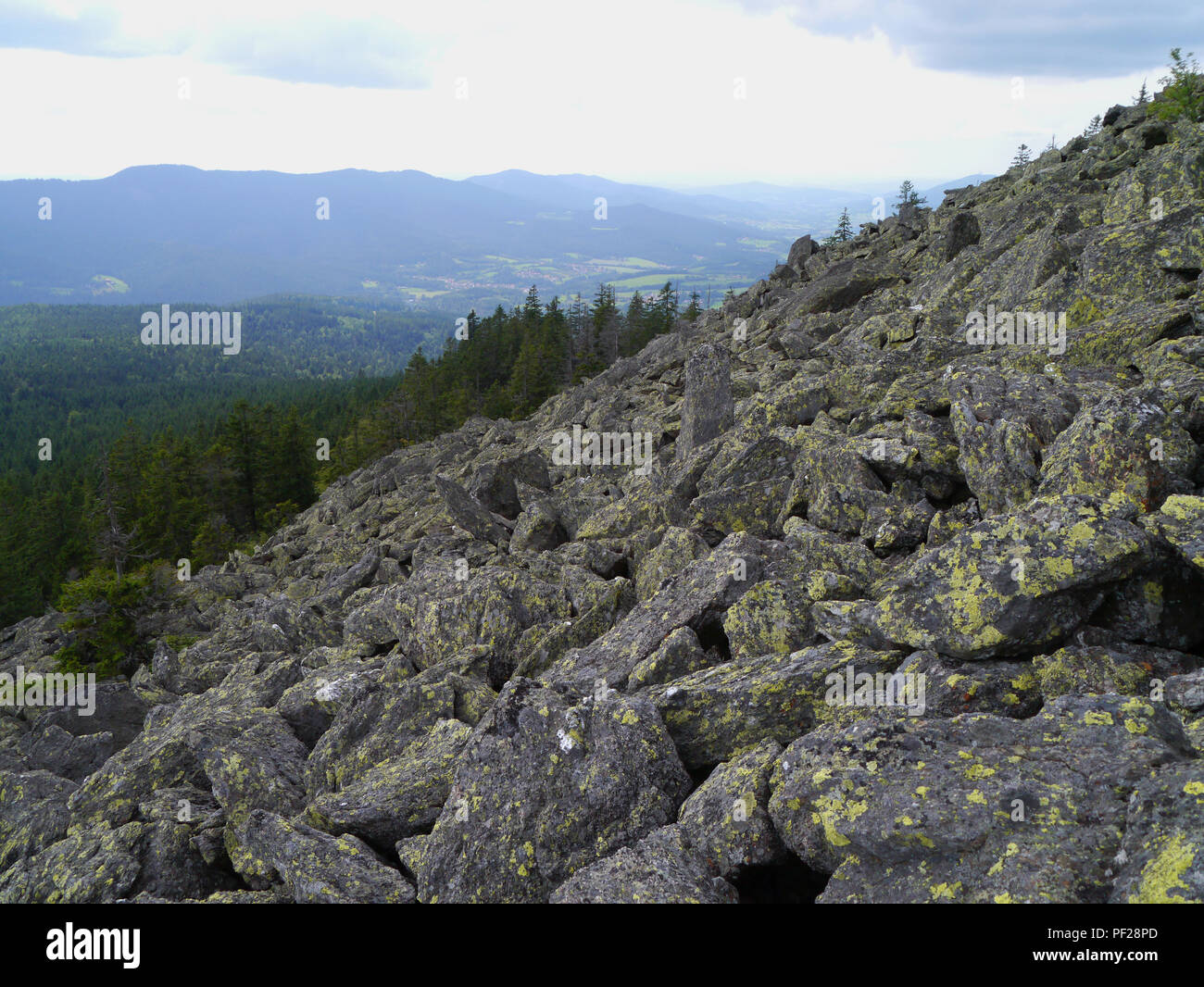 block field at Zwercheck, Bavarian Forest, Germany Stock Photo - Alamy