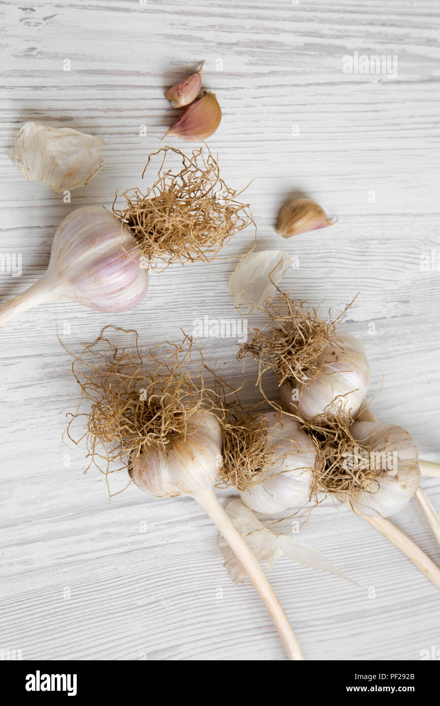 Dried garlic on white wooden background, view from above. Top view ...