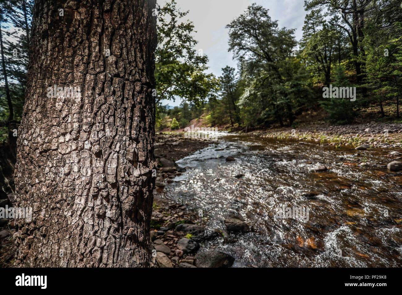 Gavilan mesa hi-res stock photography and images - Alamy