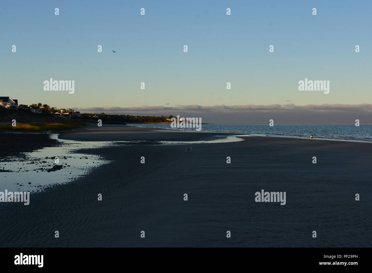 Pretty landscape during low tide in massachusetts Stock Photo - Alamy